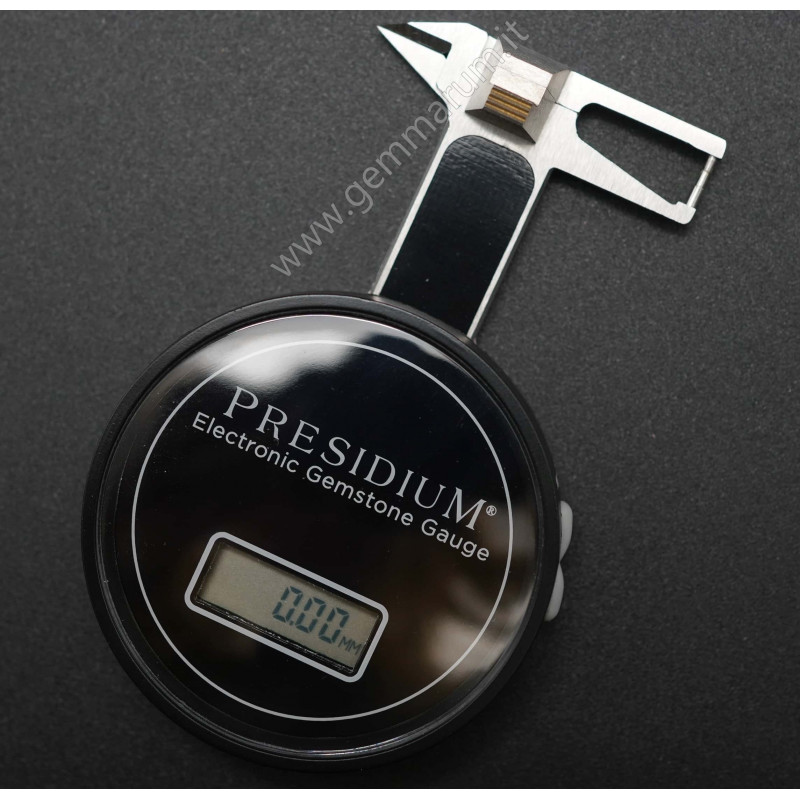 PRESIDIUM ELECTRONIC GAUGE