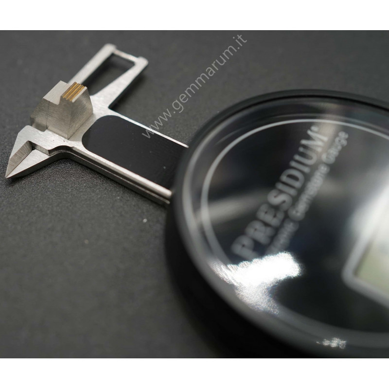 PRESIDIUM ELECTRONIC GAUGE