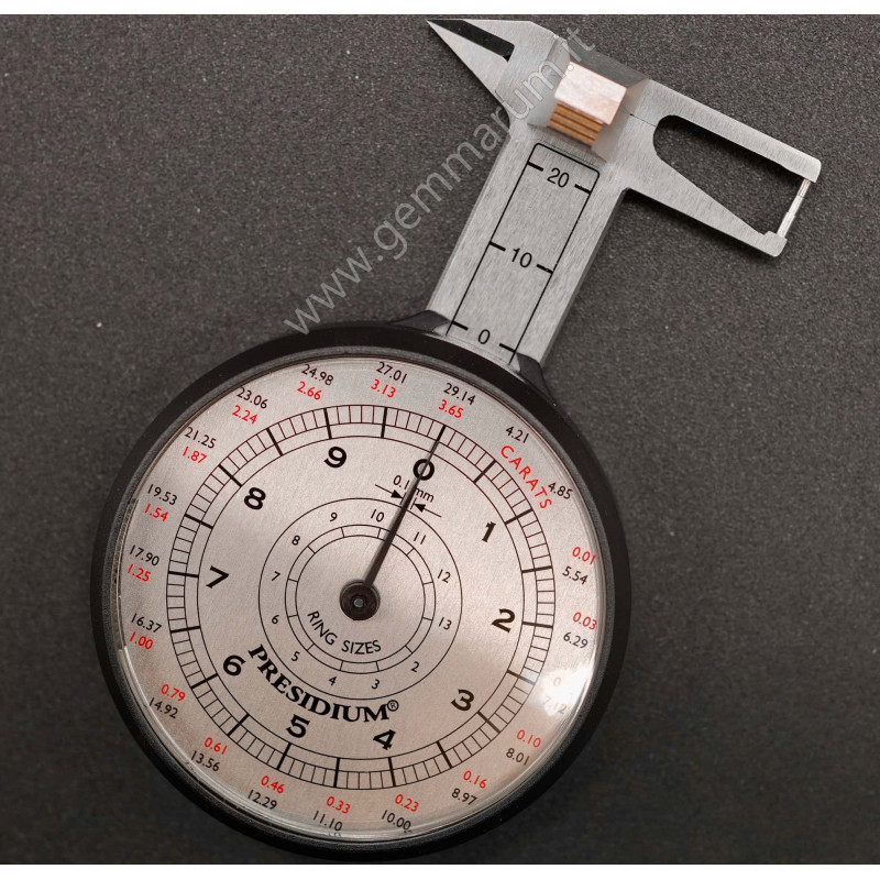 PRESIDIUM DIAL GAUGE PDG