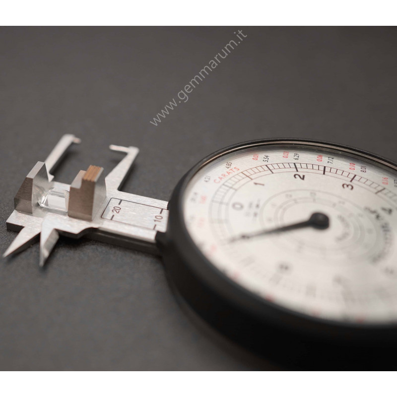 PRESIDIUM DIAL GAUGE PDG